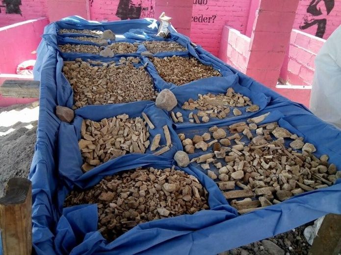 Localizan alrededor de 240 cuerpos, en predio donde ‘El Pozolero ... Localizan alrededor de 240 cuerpos, en predio donde ‘El Pozolero ...