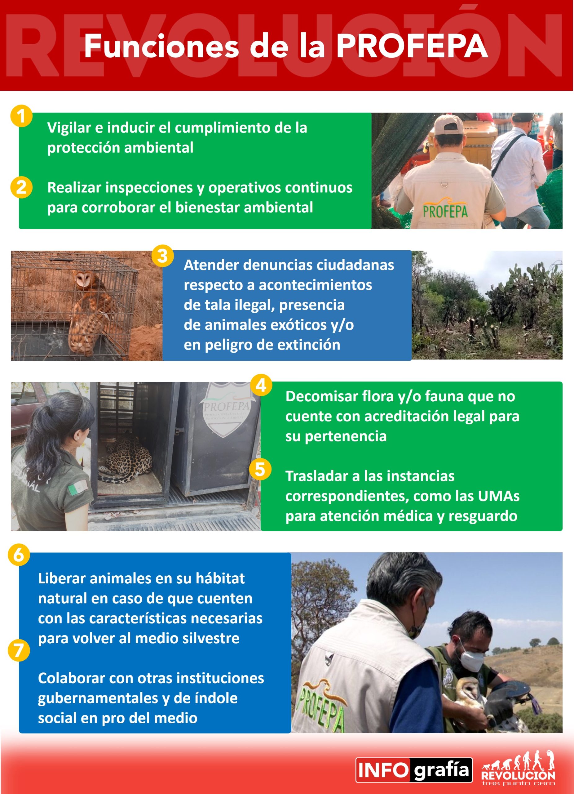 ¿Cuáles son las funciones de la PROFEPA en pro del medio ambiente? (+ # ...